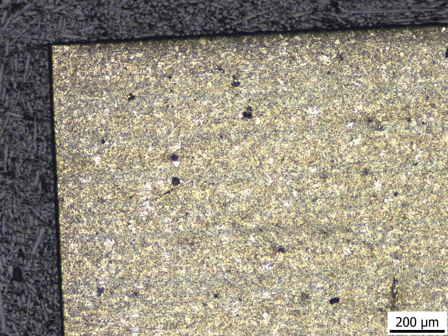 Coatings vs Foil - Heat Treating Steel - Knife Steel Nerds