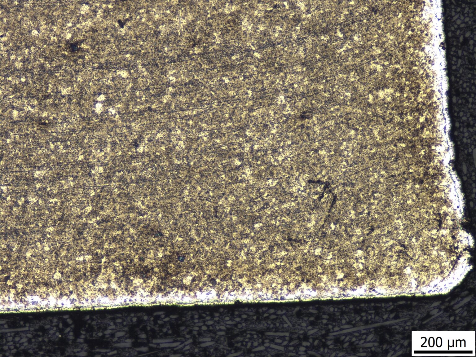 Coatings vs Foil - Heat Treating Steel - Knife Steel Nerds