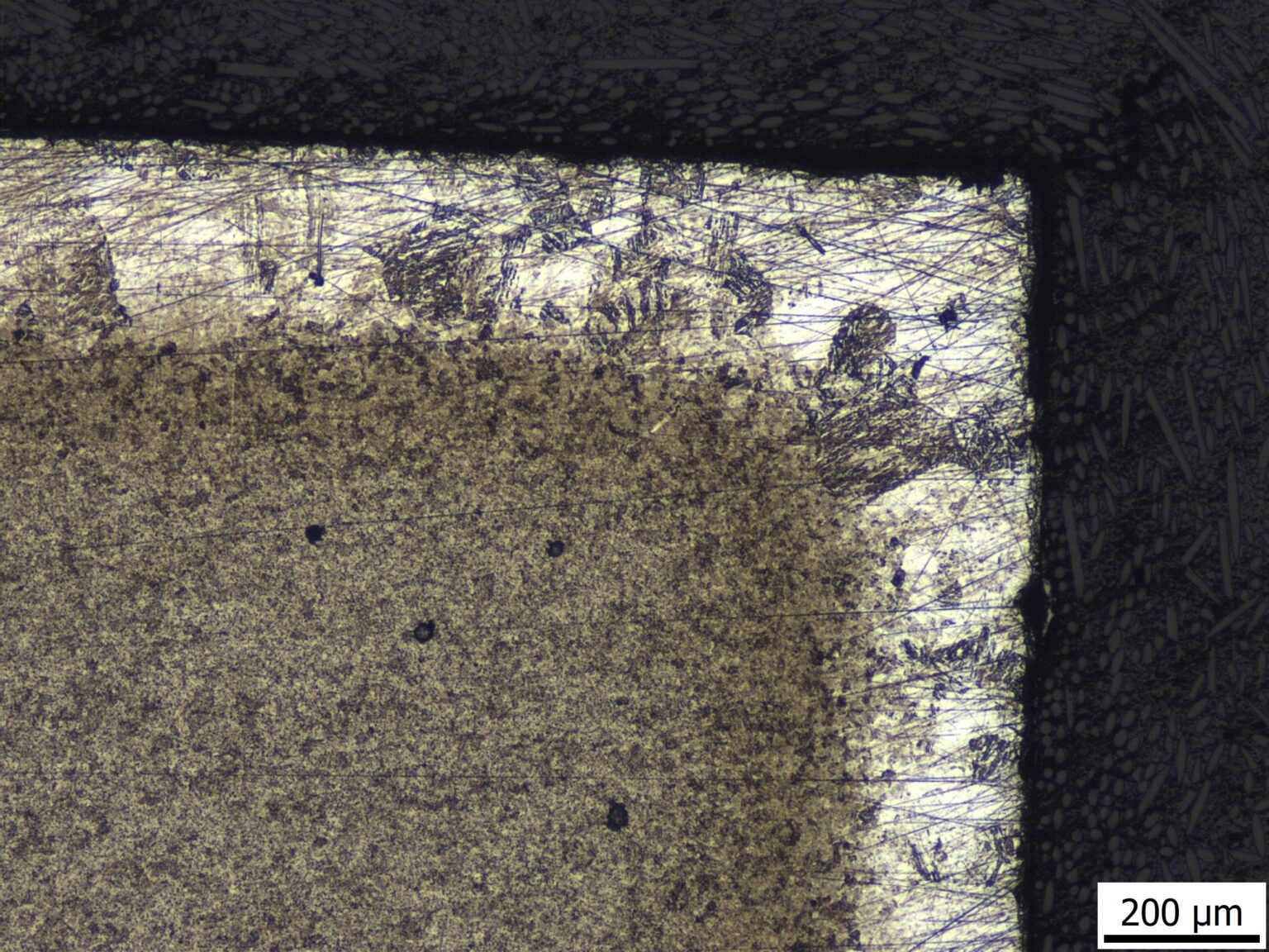 Coatings vs Foil - Heat Treating Steel - Knife Steel Nerds
